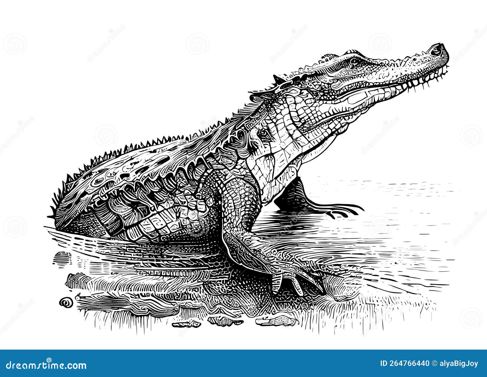 Hand Drawn Alligator Sitting Stock Illustrations – 17 Hand Drawn ...