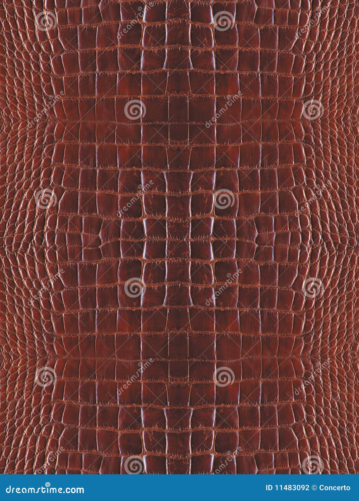 Crocodile skin stock photo. Image of predator, material - 11483092
