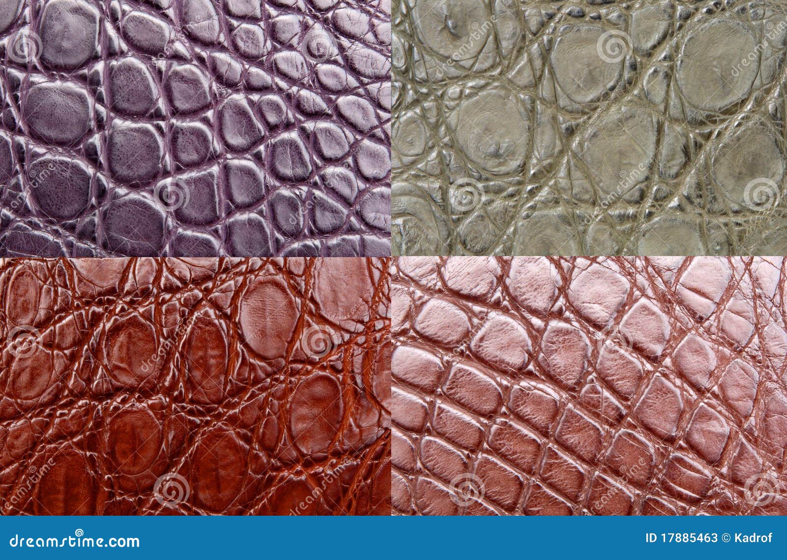 Crocodile skin stock image. Image of fashion, crocodile - 17885463