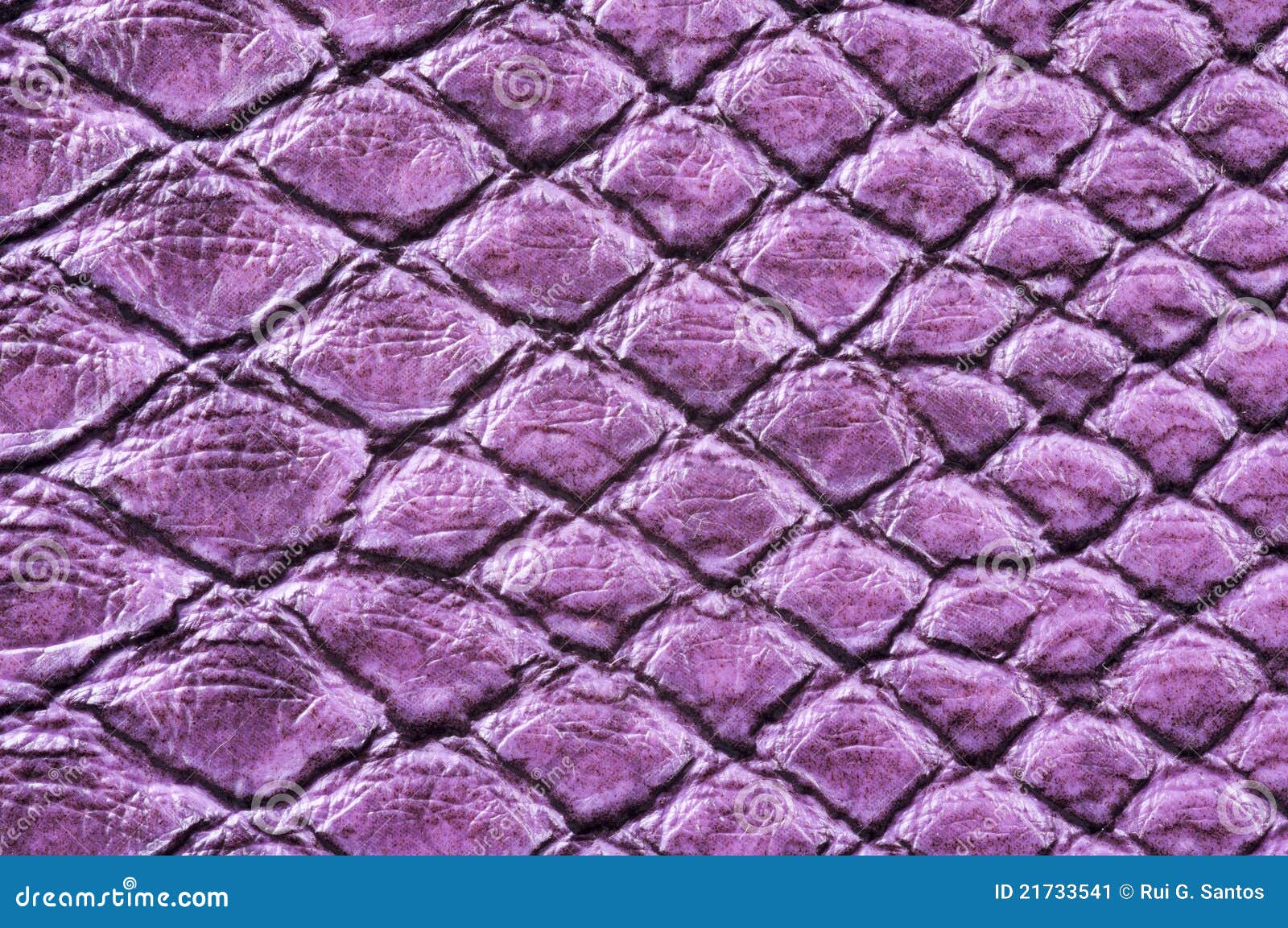 Crocodile Skin Background Textures. Close-up. Reptiles. Scaly Leather ...