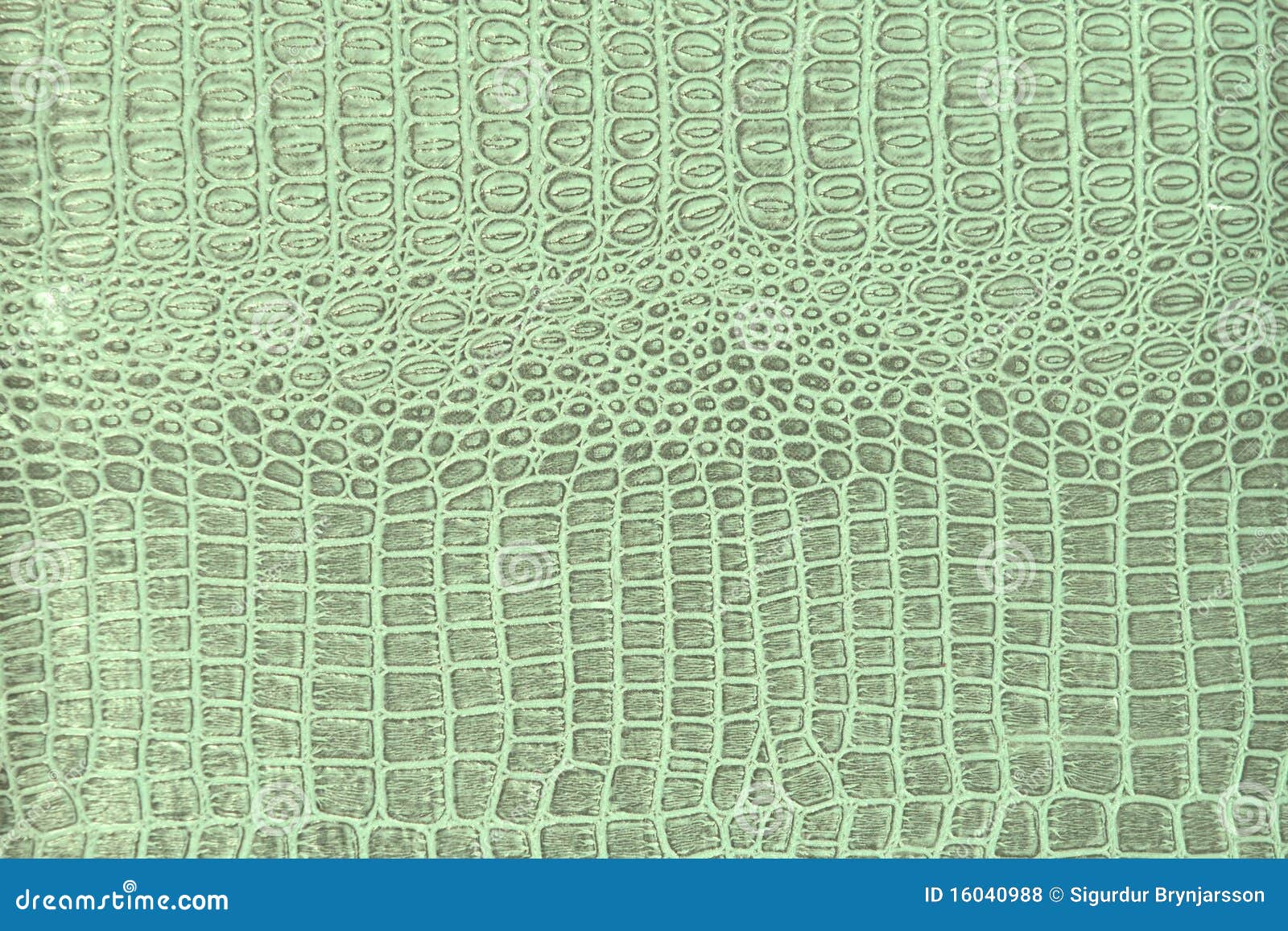 Crocodile skin pattern stock photo. Image of piece, animal - 16040988