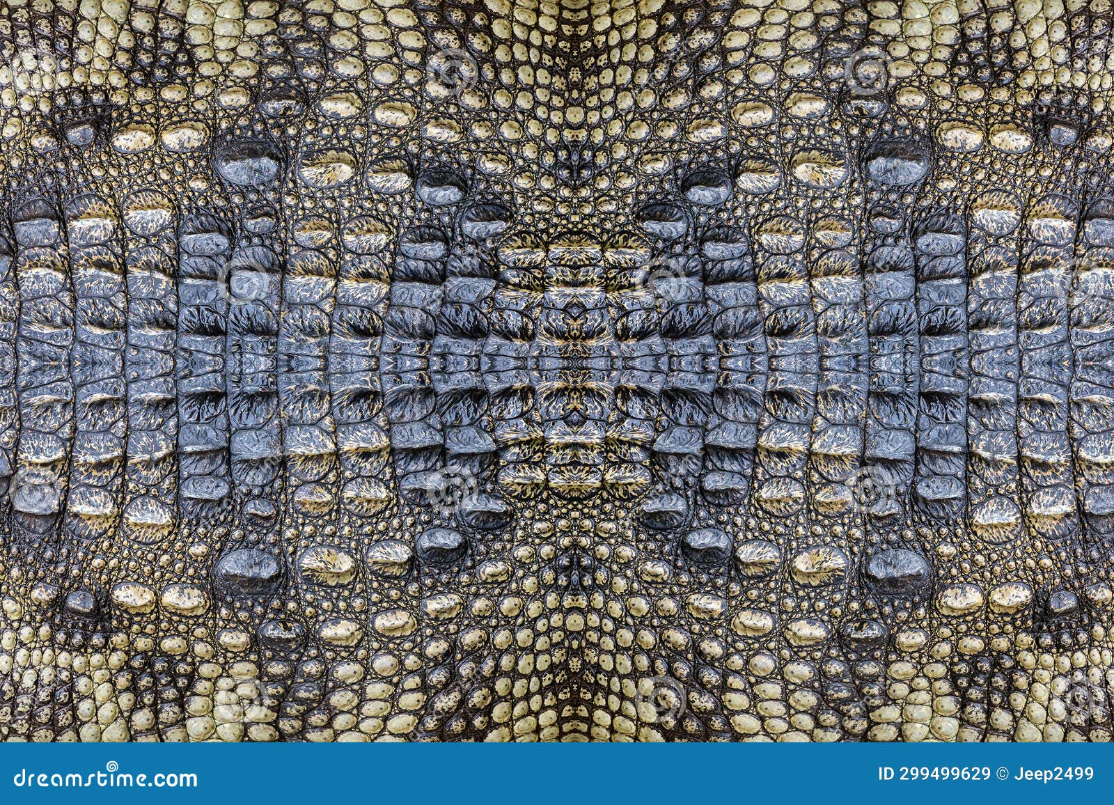 Crocodile skin pattern. stock image. Image of skin, modern - 299499629