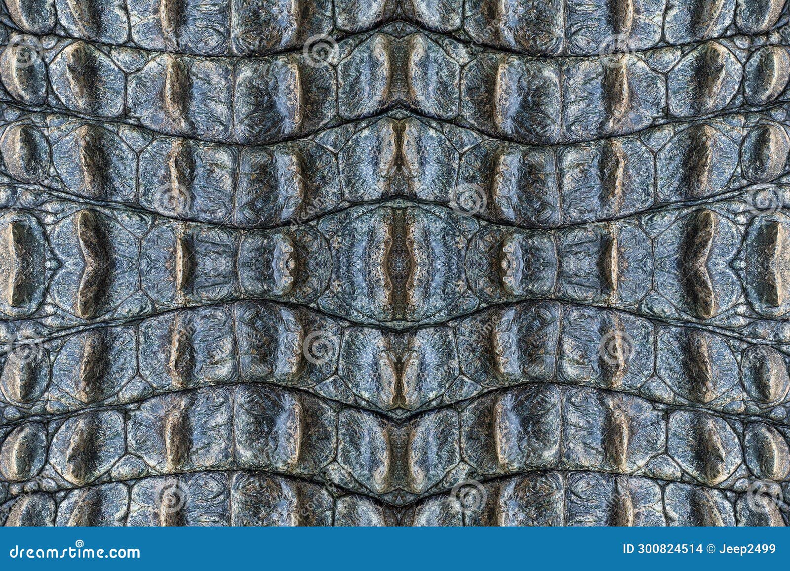Crocodile skin pattern. stock photo. Image of animal - 300824514