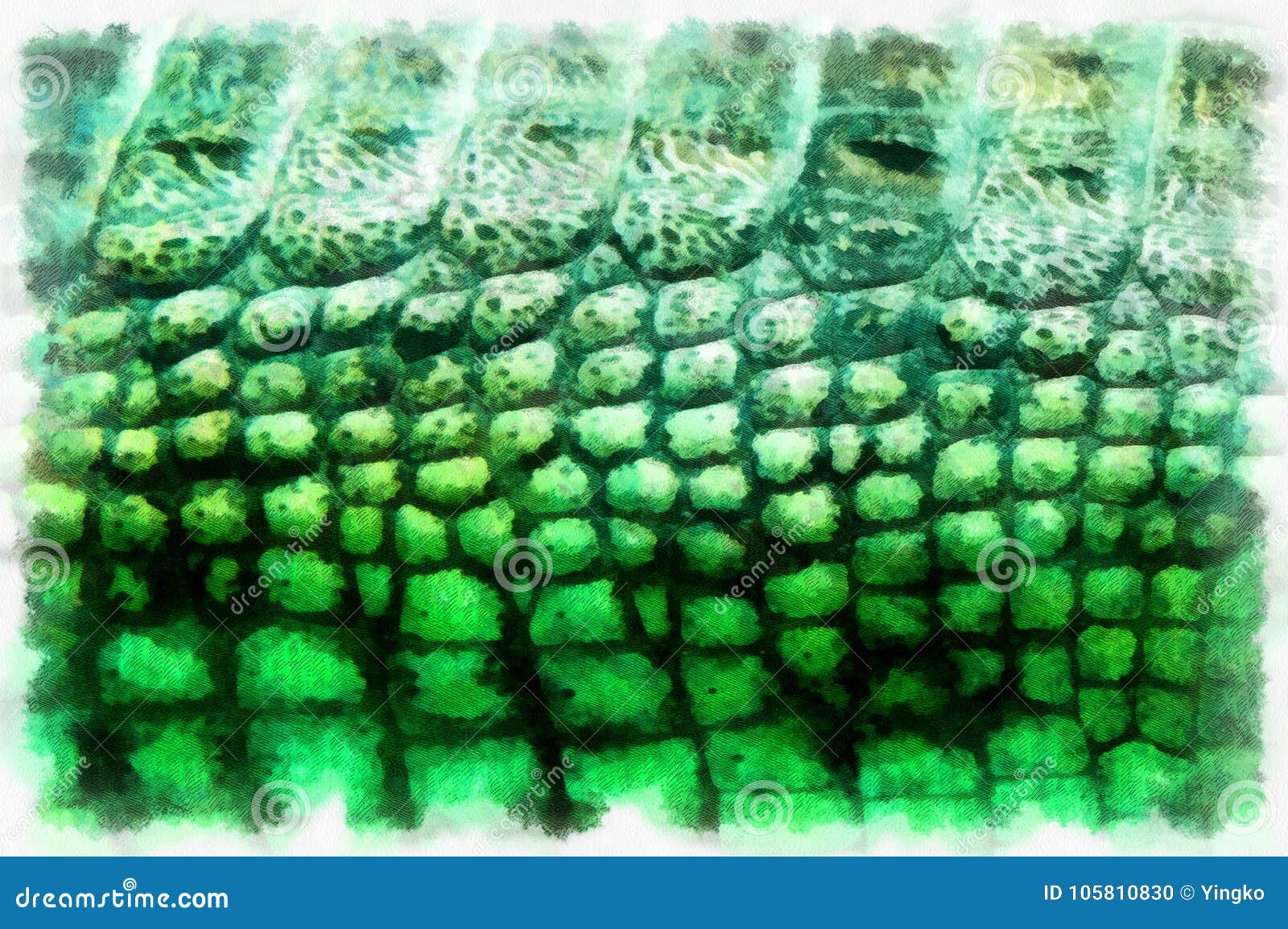 Crocodile Skin Pattern. Black Viper, Drawing On The Snake Skin. Reptile ...