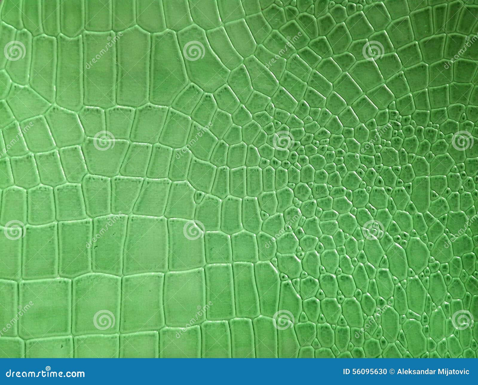 Crocodile skin pattern stock photo. Image of effect, detail - 56095630