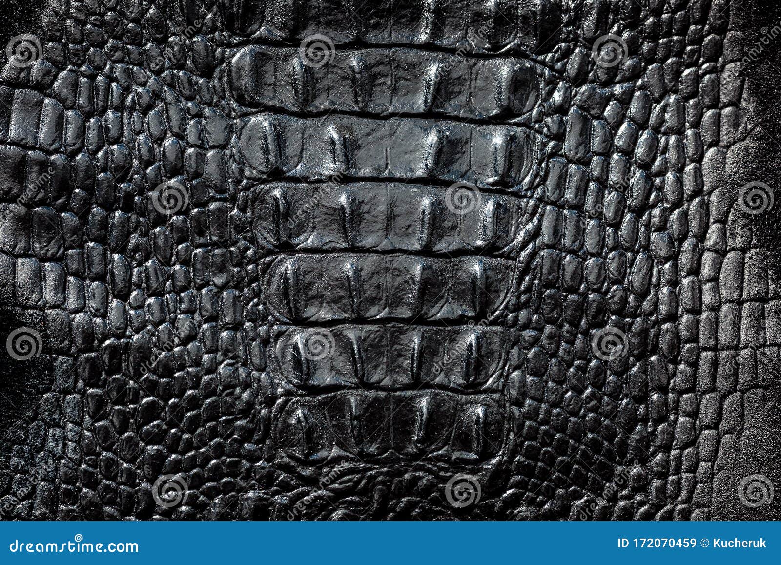 Alligator Skin Print