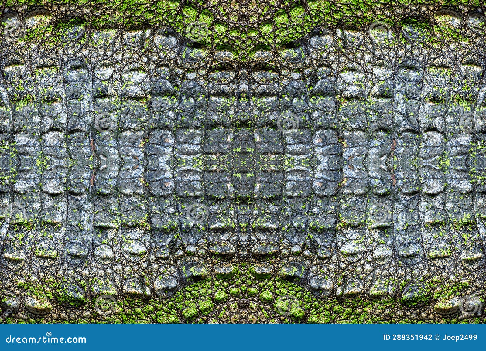 Crocodile skin patterns. stock illustration. Illustration of alligator ...