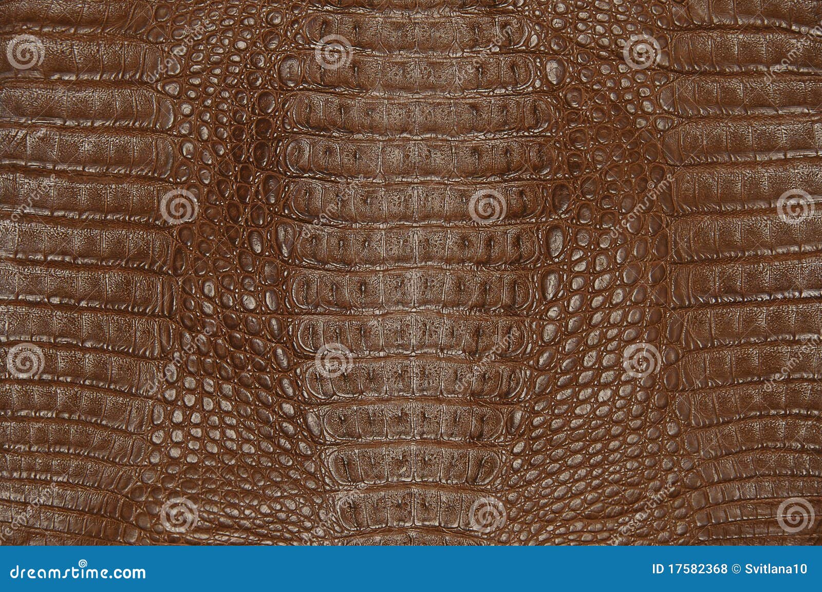 Crocodile skin texture stock photo. Image of rattlesnake - 17582368
