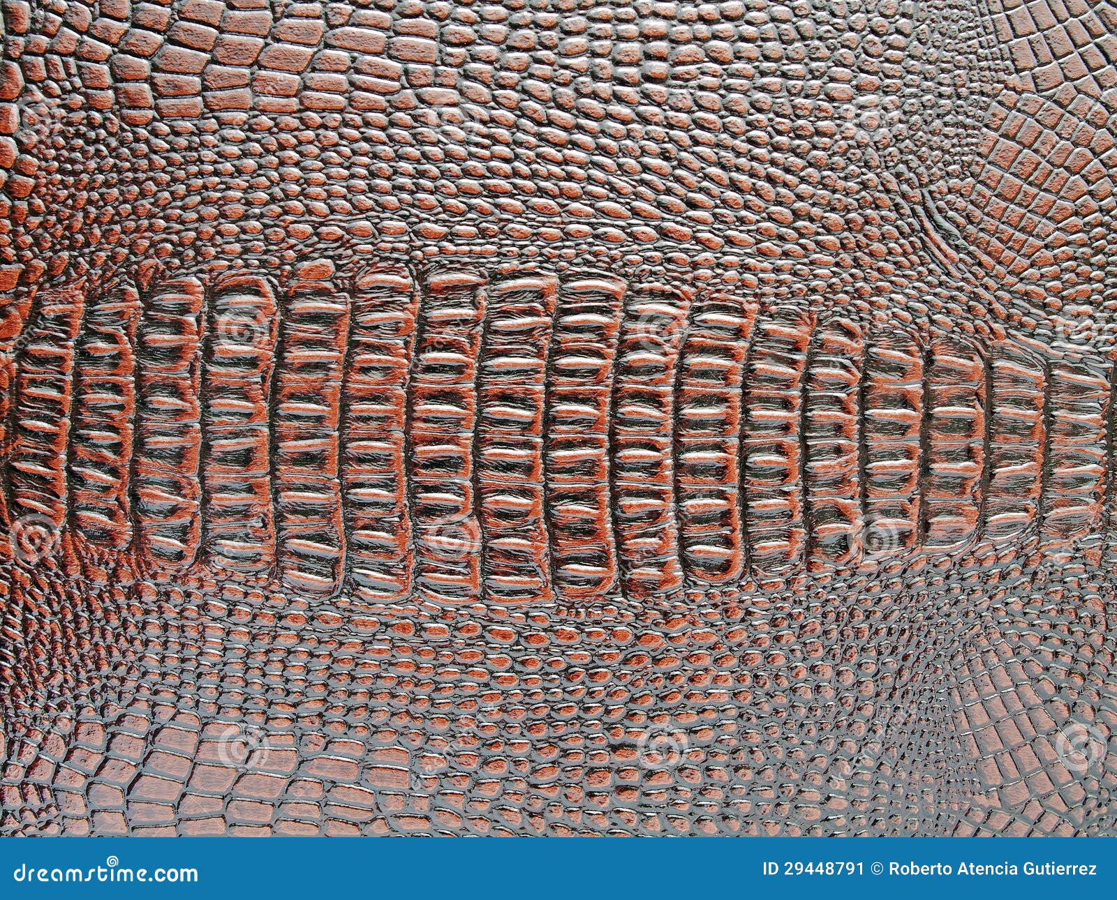 Crocodile skin texture stock image. Image of detail, luxury - 29448791