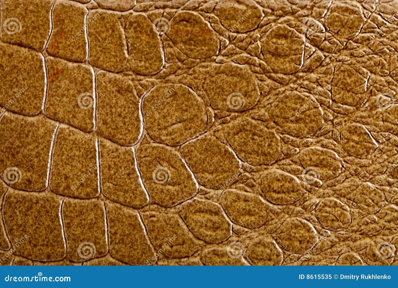 Crocodile skin texture stock image. Image of crocodile - 8615535