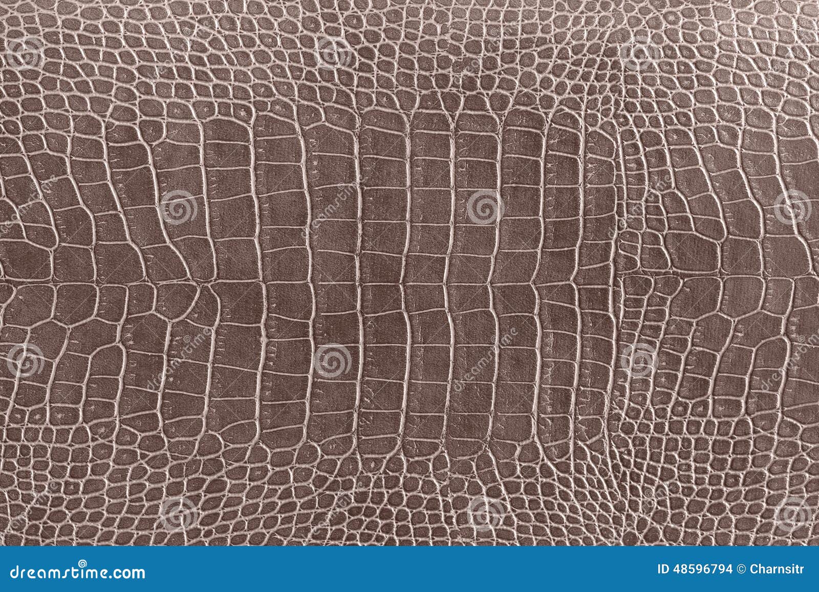 Crocodile Skin Texture As a Wallpaper Stock Photo - Image of human ...