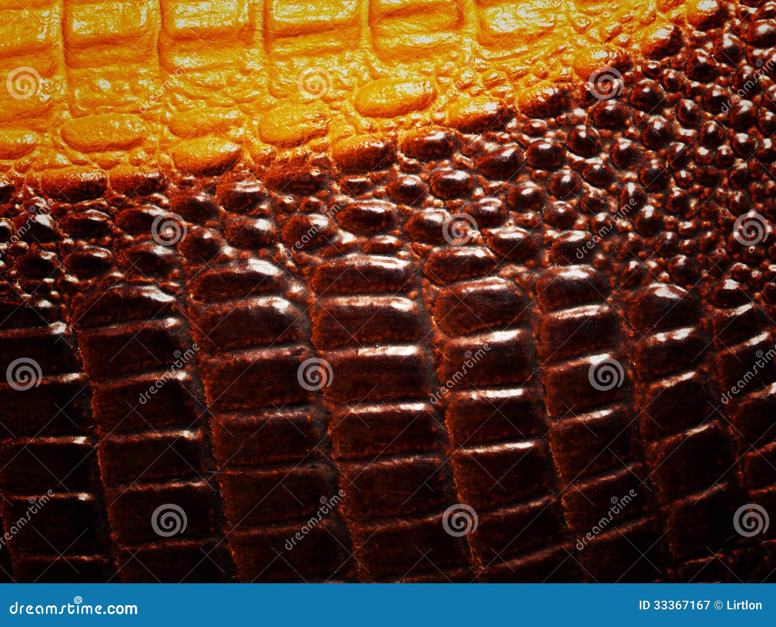 Crocodile Skin Texture Background Stock Image - Image of abstract ...