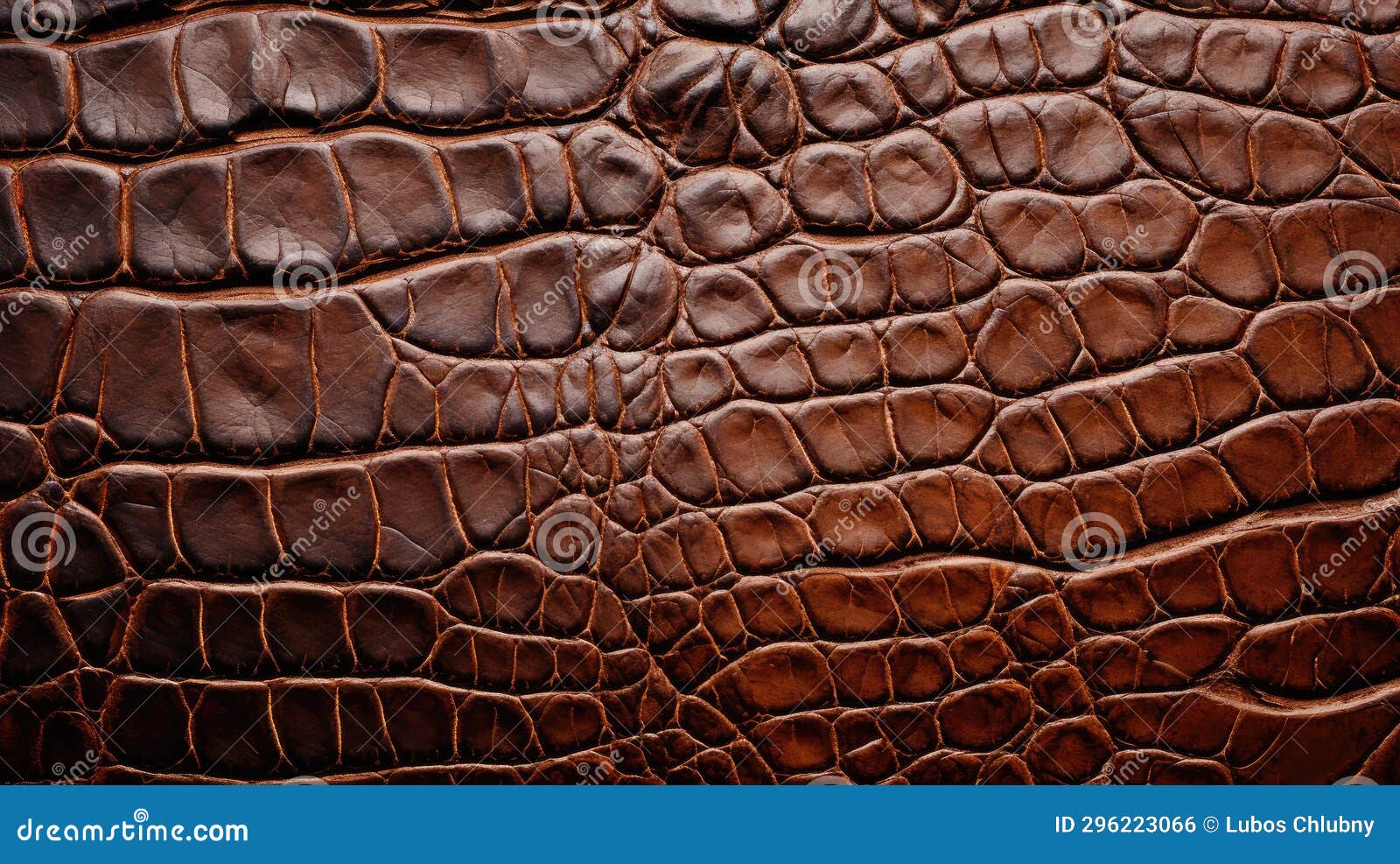 A Crocodile Skin Texture Background Stock Illustration - Illustration ...
