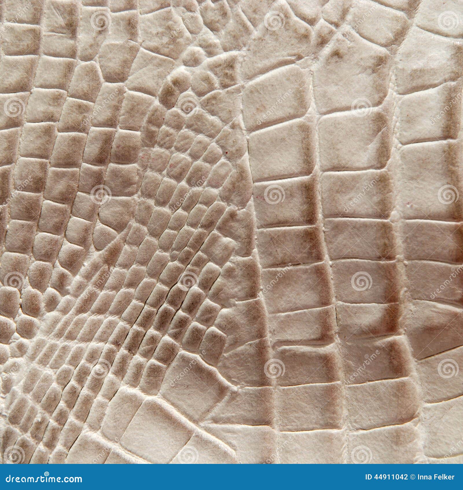 Luxury Gator Texture Stock Photos - Free & Royalty-Free Stock Photos ...