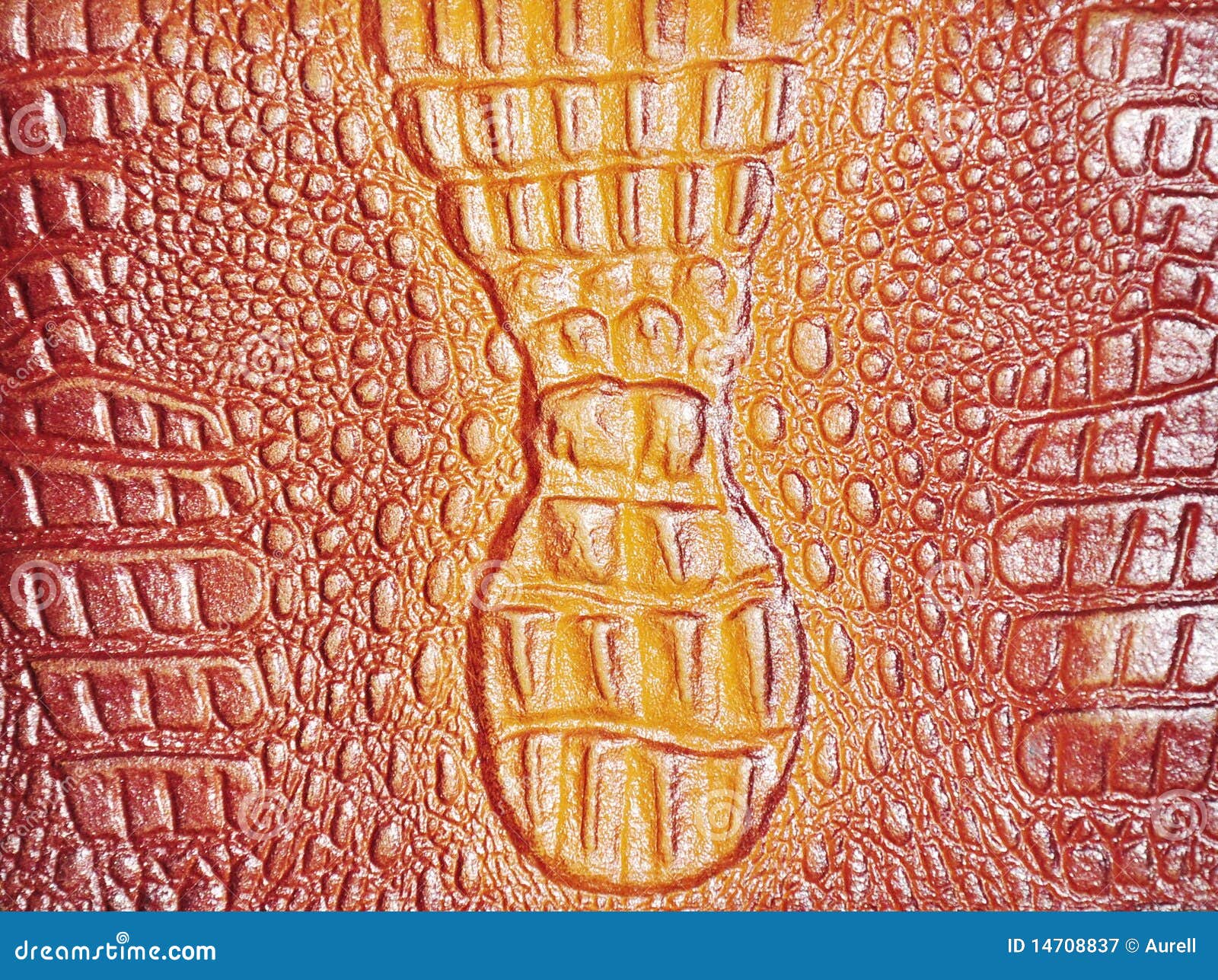130 Crocodile Skin Textures Stock Photos - Free & Royalty-Free Stock ...
