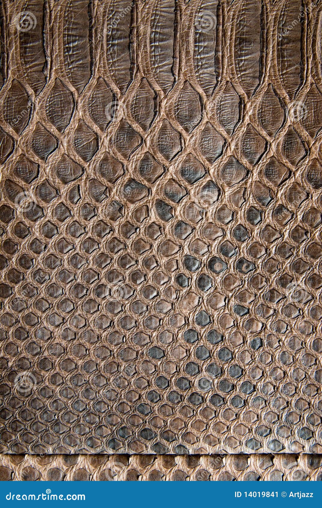 Crocodile texture stock image. Image of fashion, material - 14019841