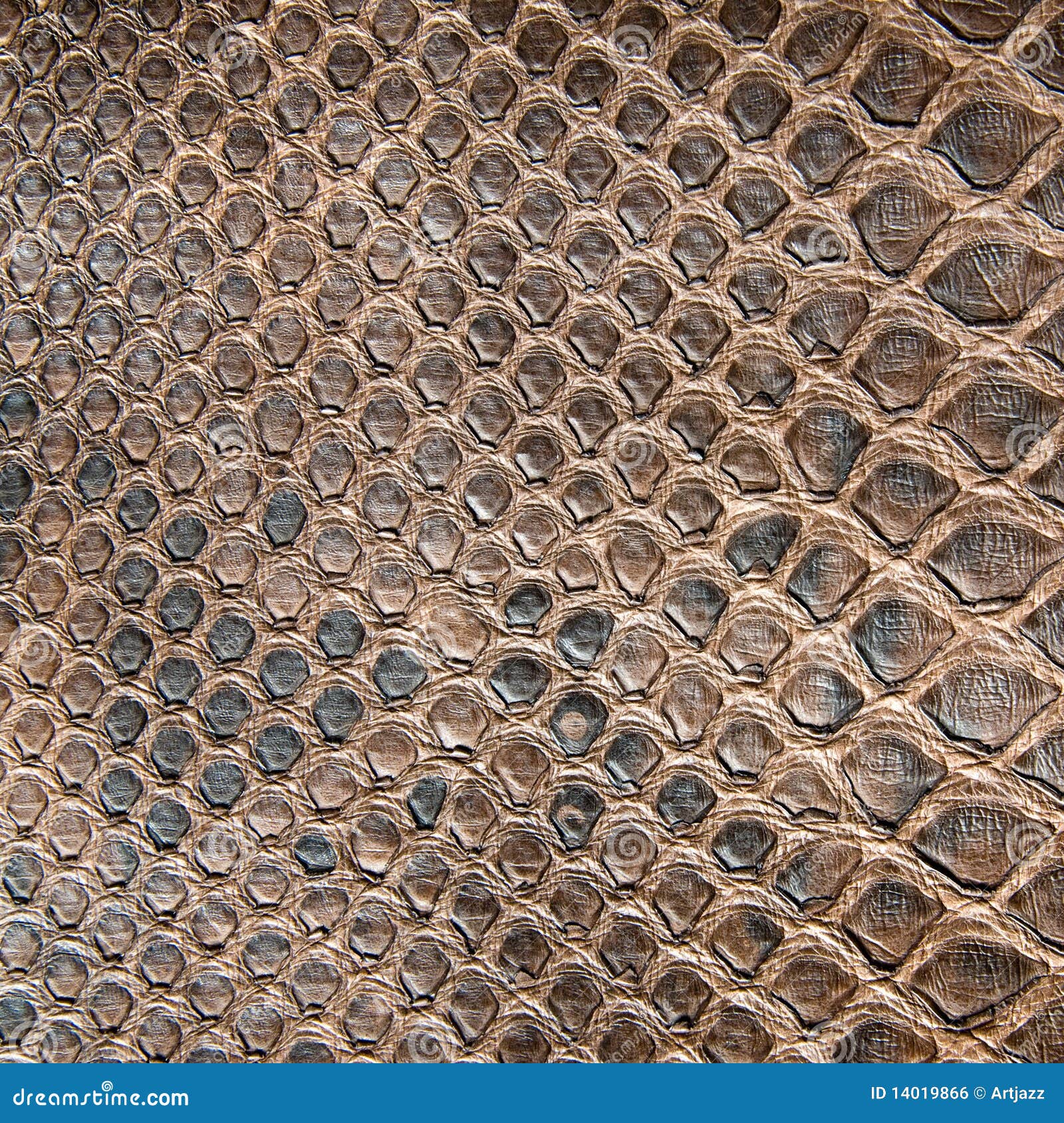 Crocodile texture stock photo. Image of detail, backdrop - 14019866