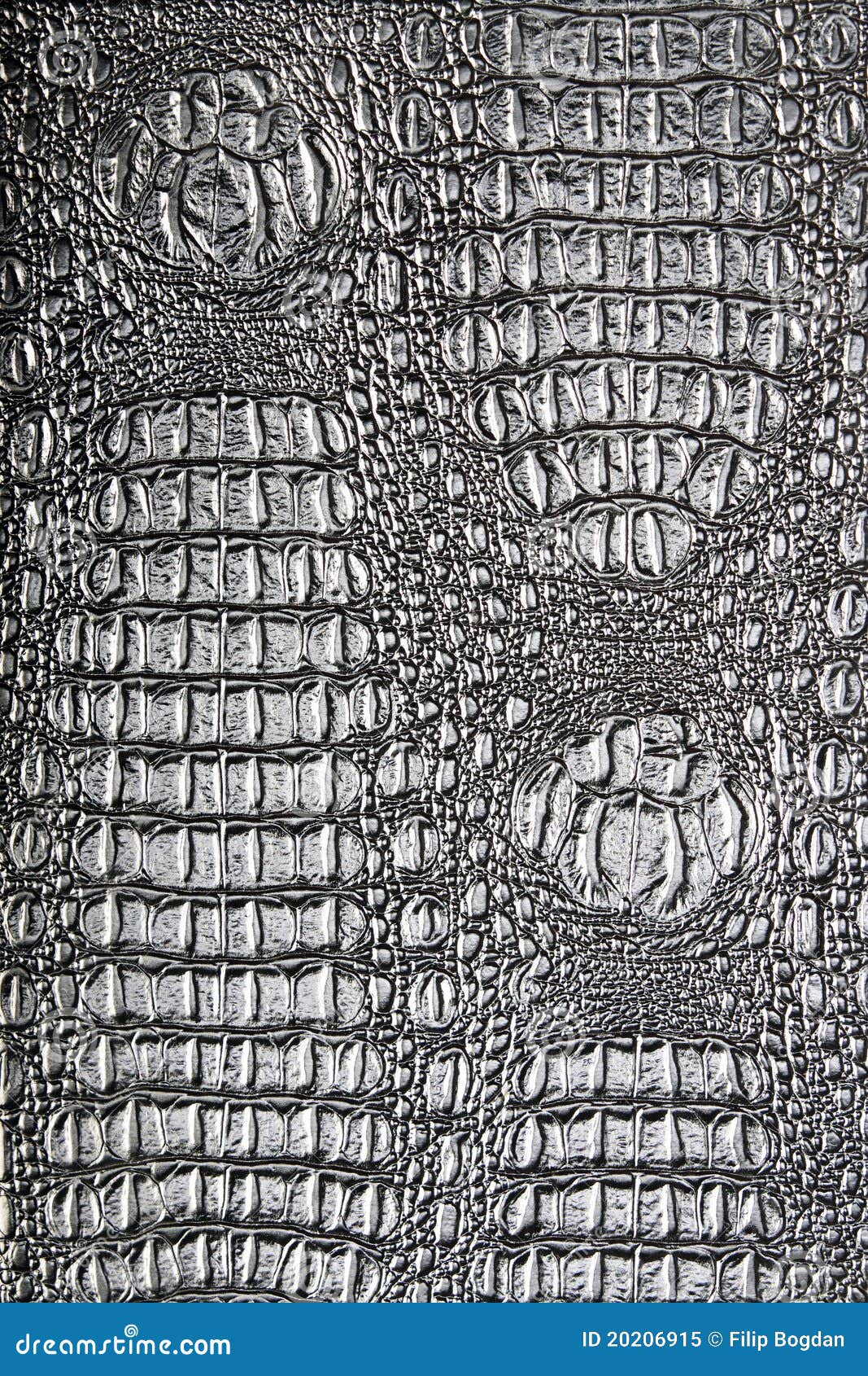 Crocodile texture stock image. Image of pattern, reflection - 20206915