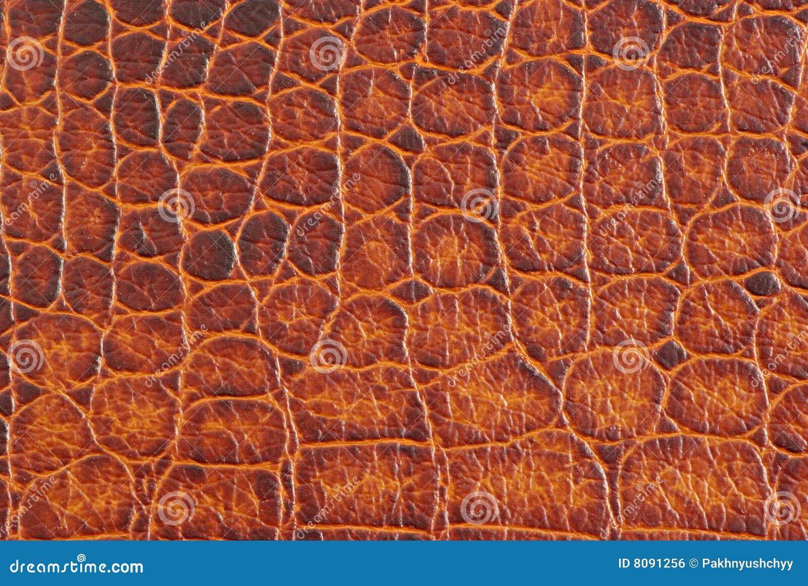 Crocodile Texture Stock Image | CartoonDealer.com #20206915