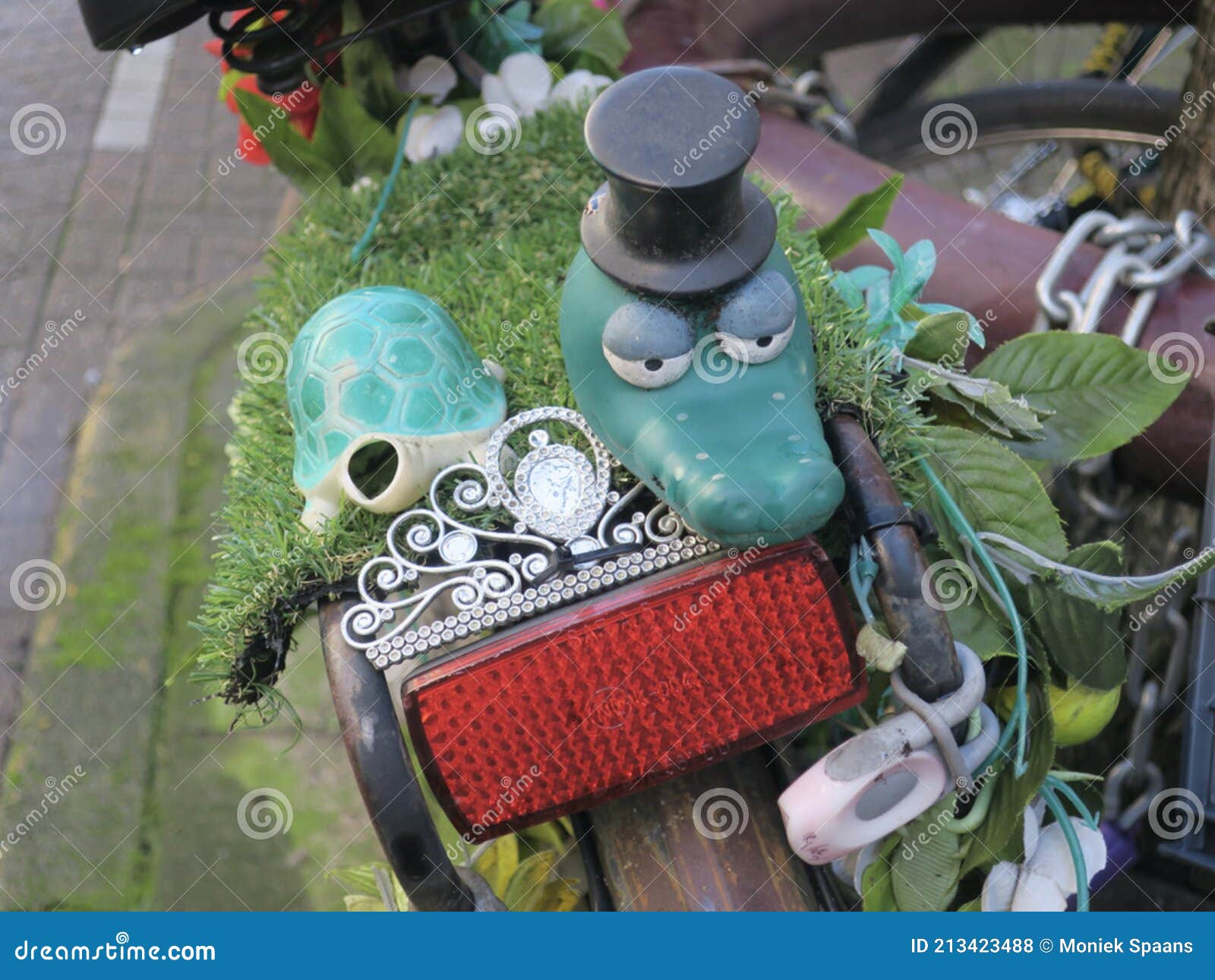Crocodile and Turtle on a Bicycle Rack Stock Photo - Image of crocodile ...