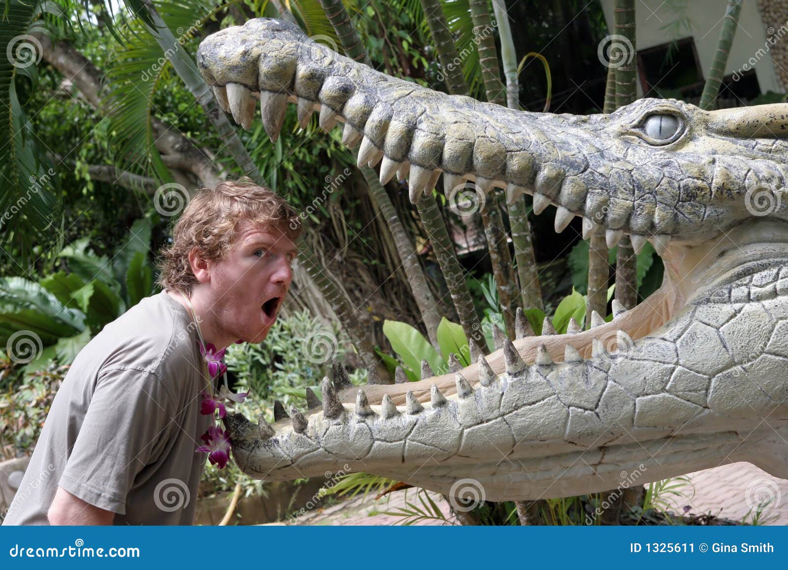Crocodile versus man stock image. Image of face, funny - 1325611