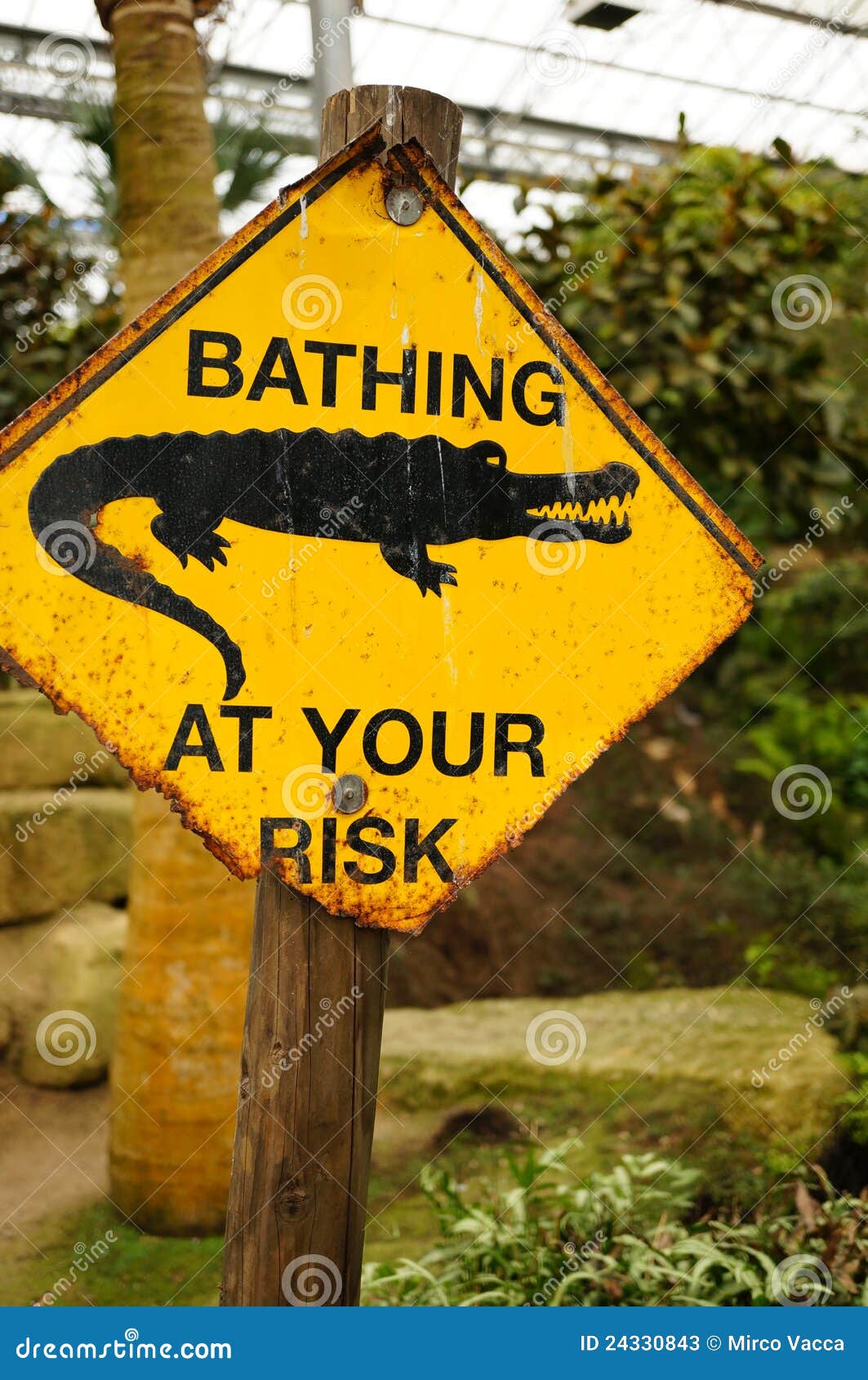 Crocodile warning stock image. Image of danger, reptile - 24330843