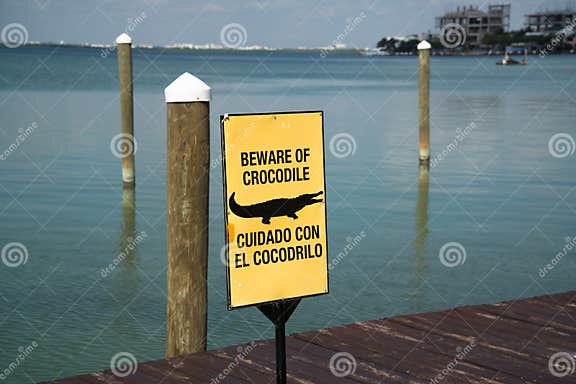 Crocodile warning sign stock photo. Image of australia - 90277298