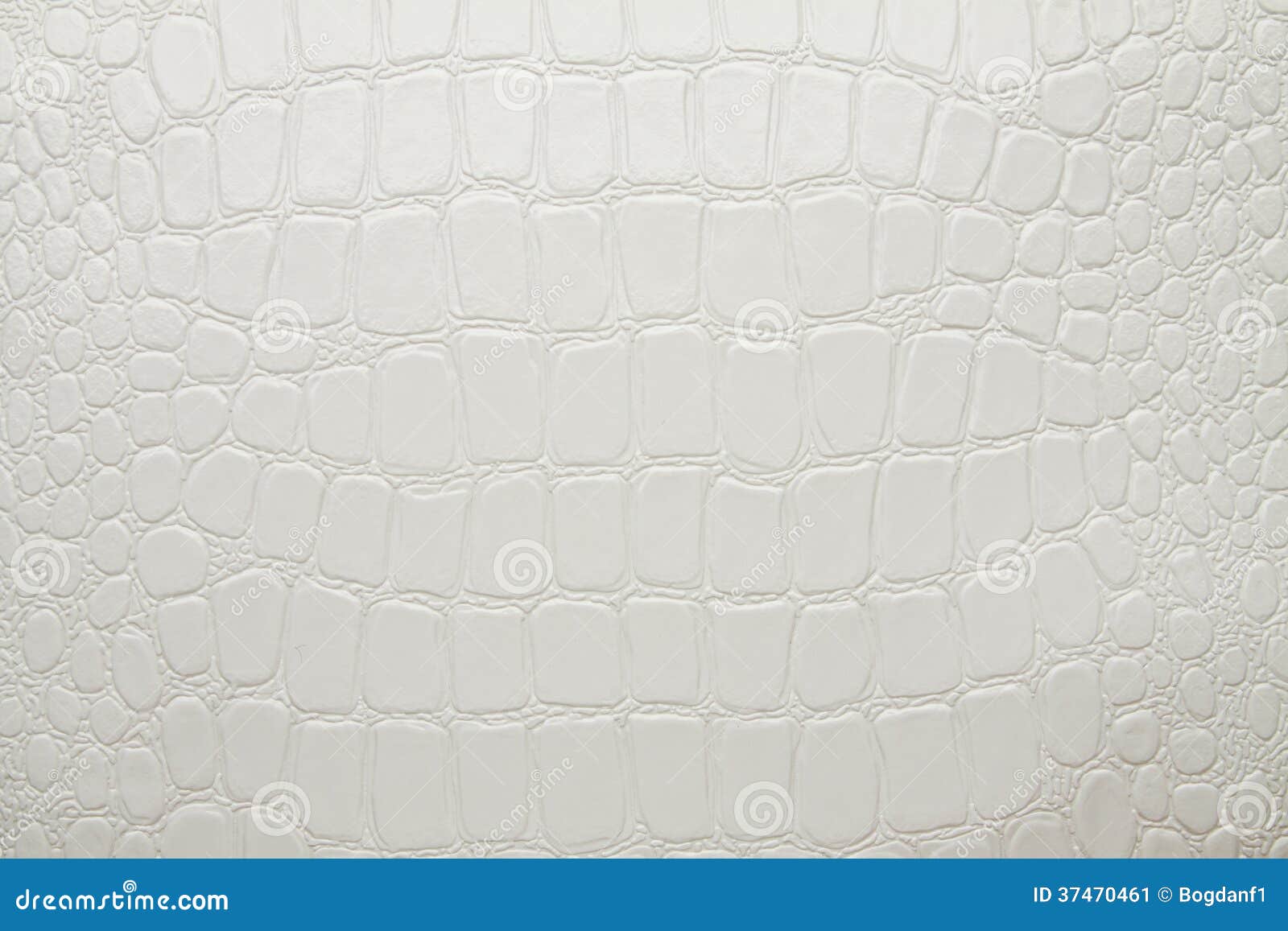 Crocodile Leather Texture Background Stock Photography | CartoonDealer ...