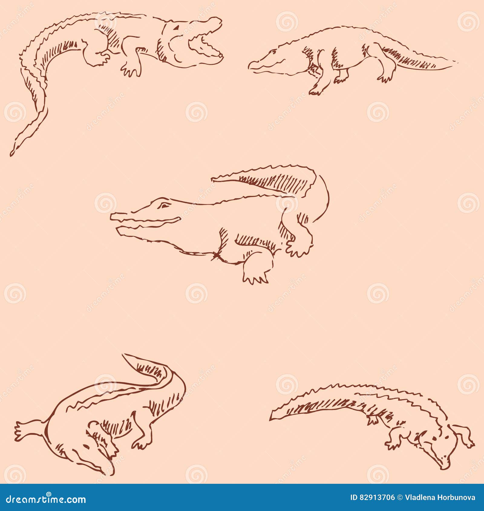 Crocodiles. Sketch Pencil. Drawing By Hand. Vector | CartoonDealer.com ...