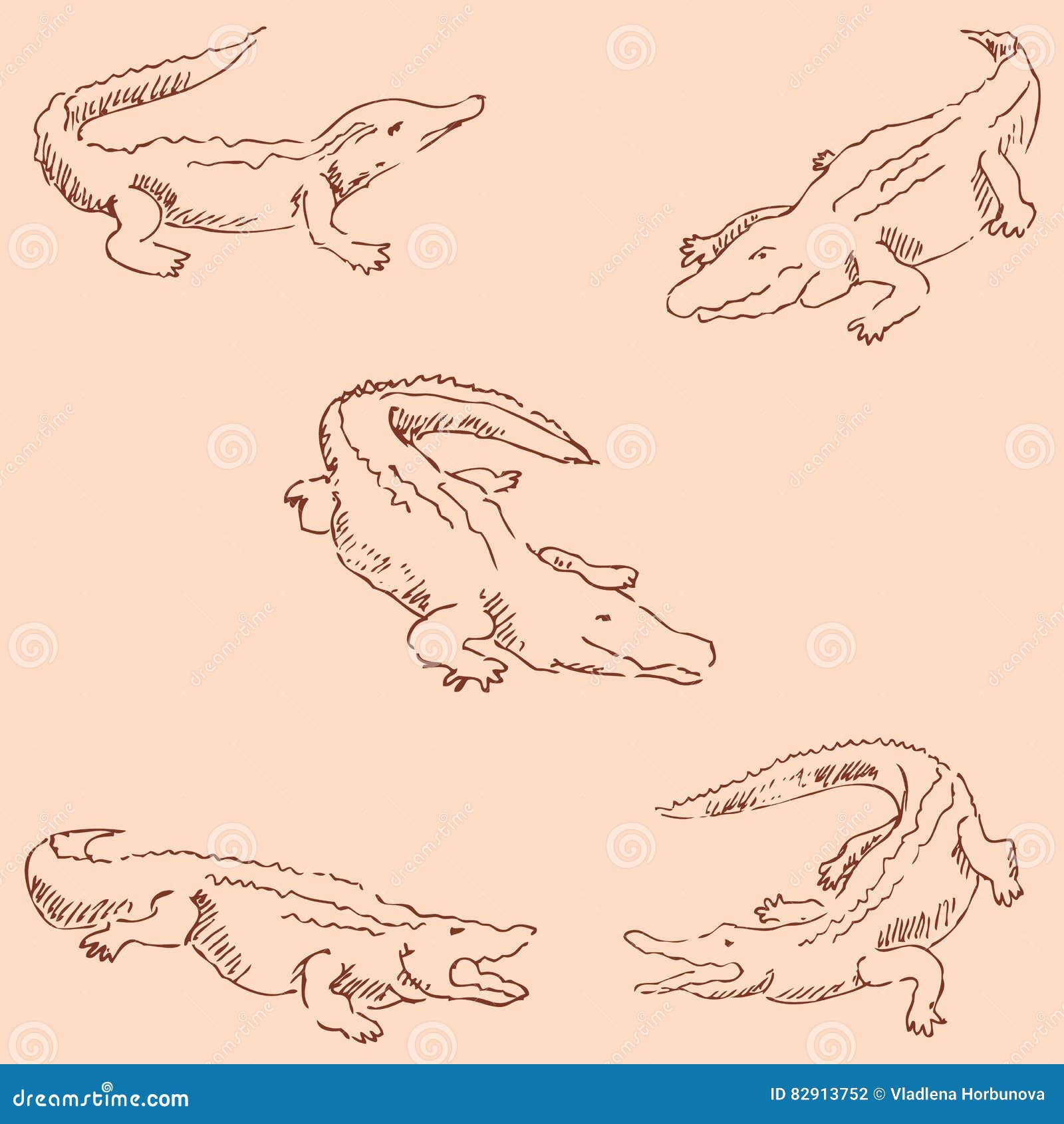 Crocodiles. Sketch Pencil. Drawing By Hand. Vector | CartoonDealer.com ...