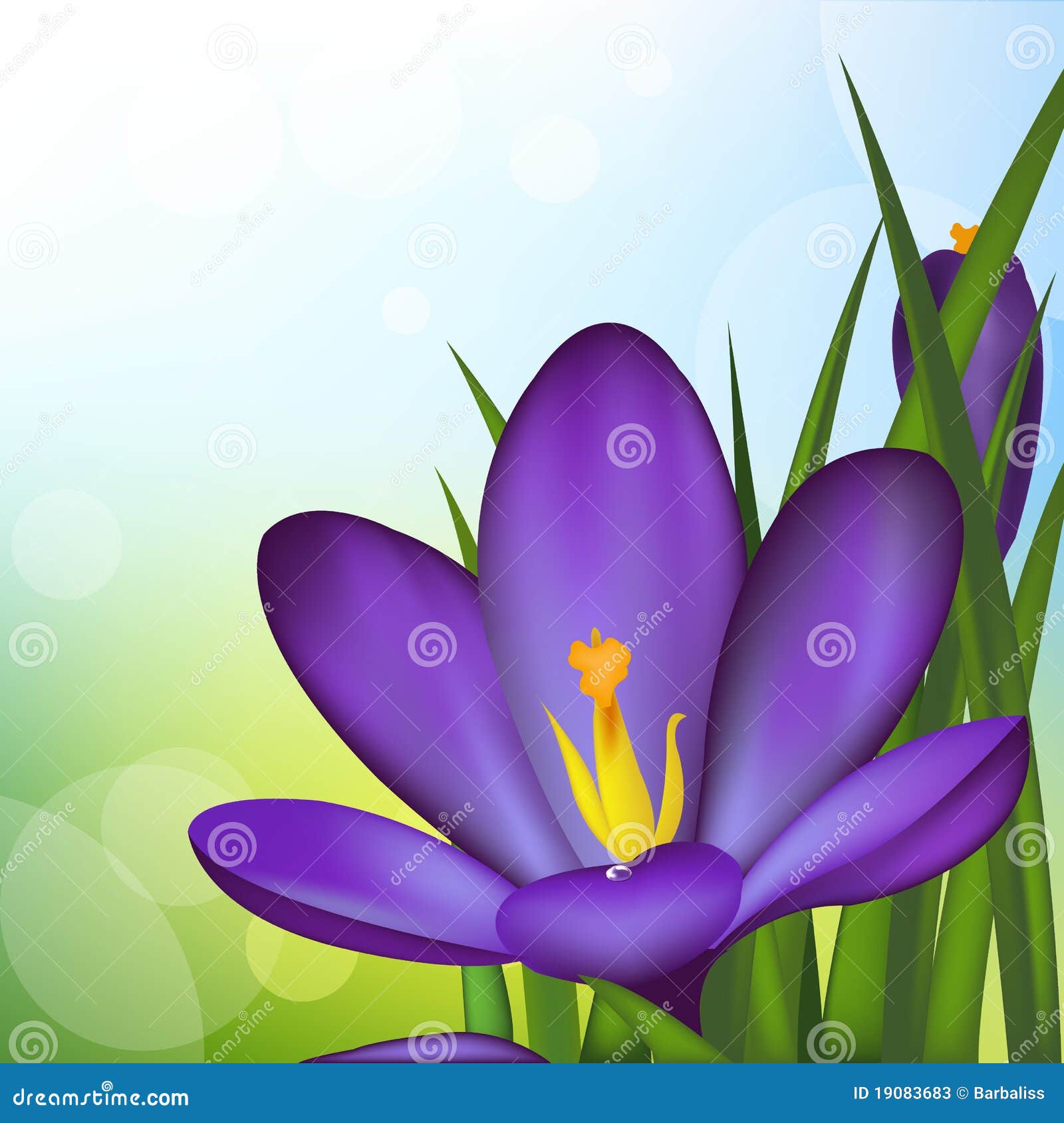 Crocus stock vector. Illustration of freshness, march - 19083683