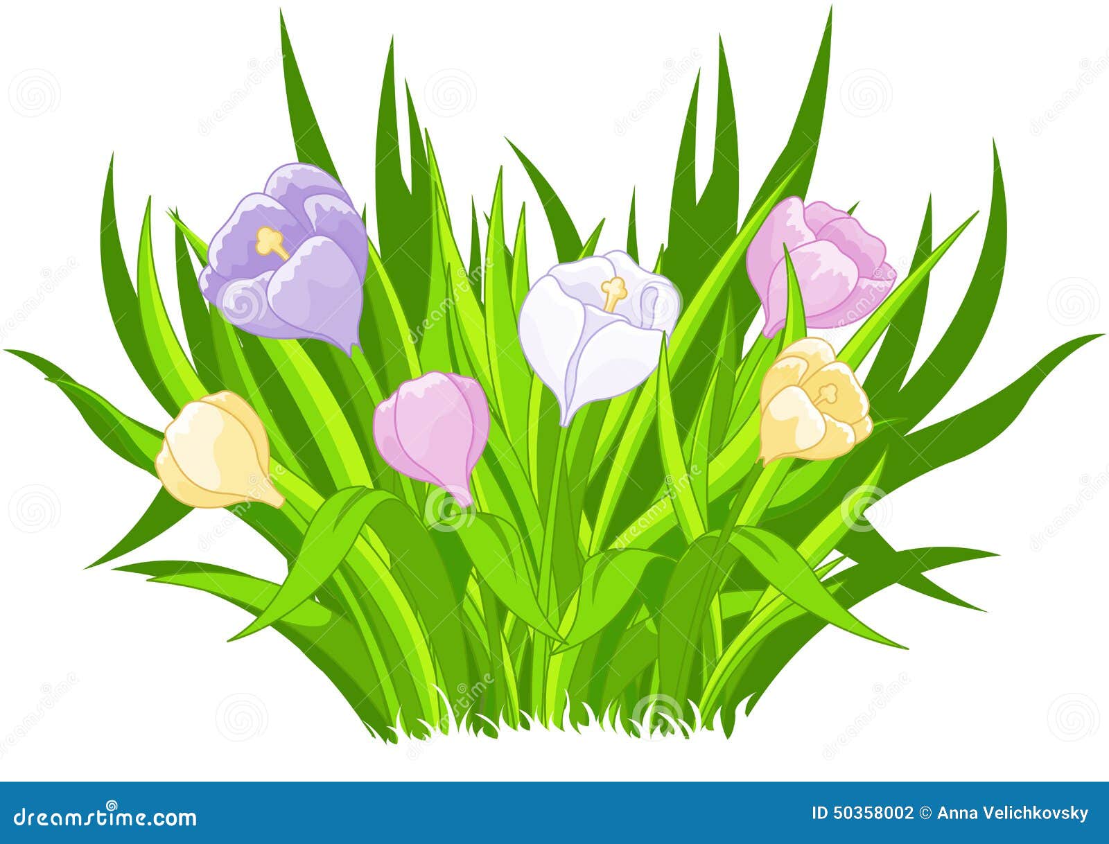 Crocus bouquet stock vector. Illustration of daffodil - 50358002