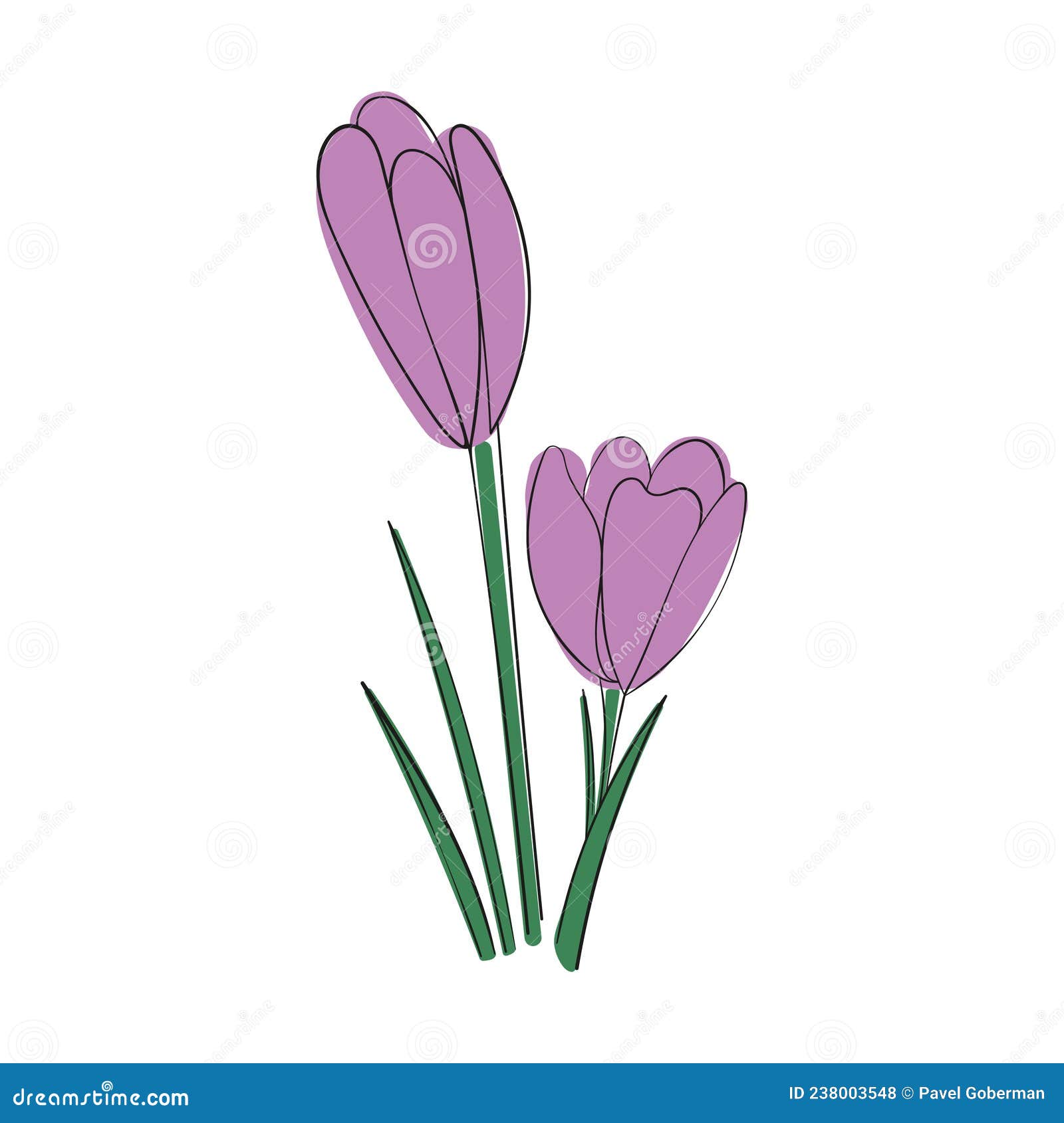Crocus Drawing. First Spring Flowers in the Doodle Style Stock Vector ...