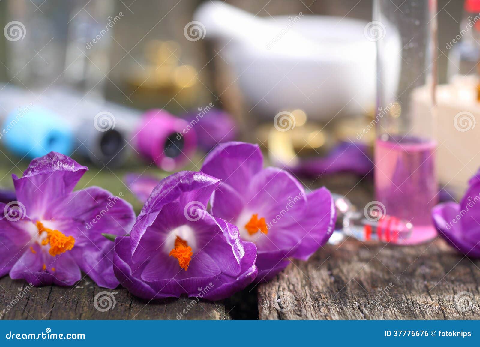 Crocus Extract, Natural Cosmetics Stock Photo - Image of remedies ...