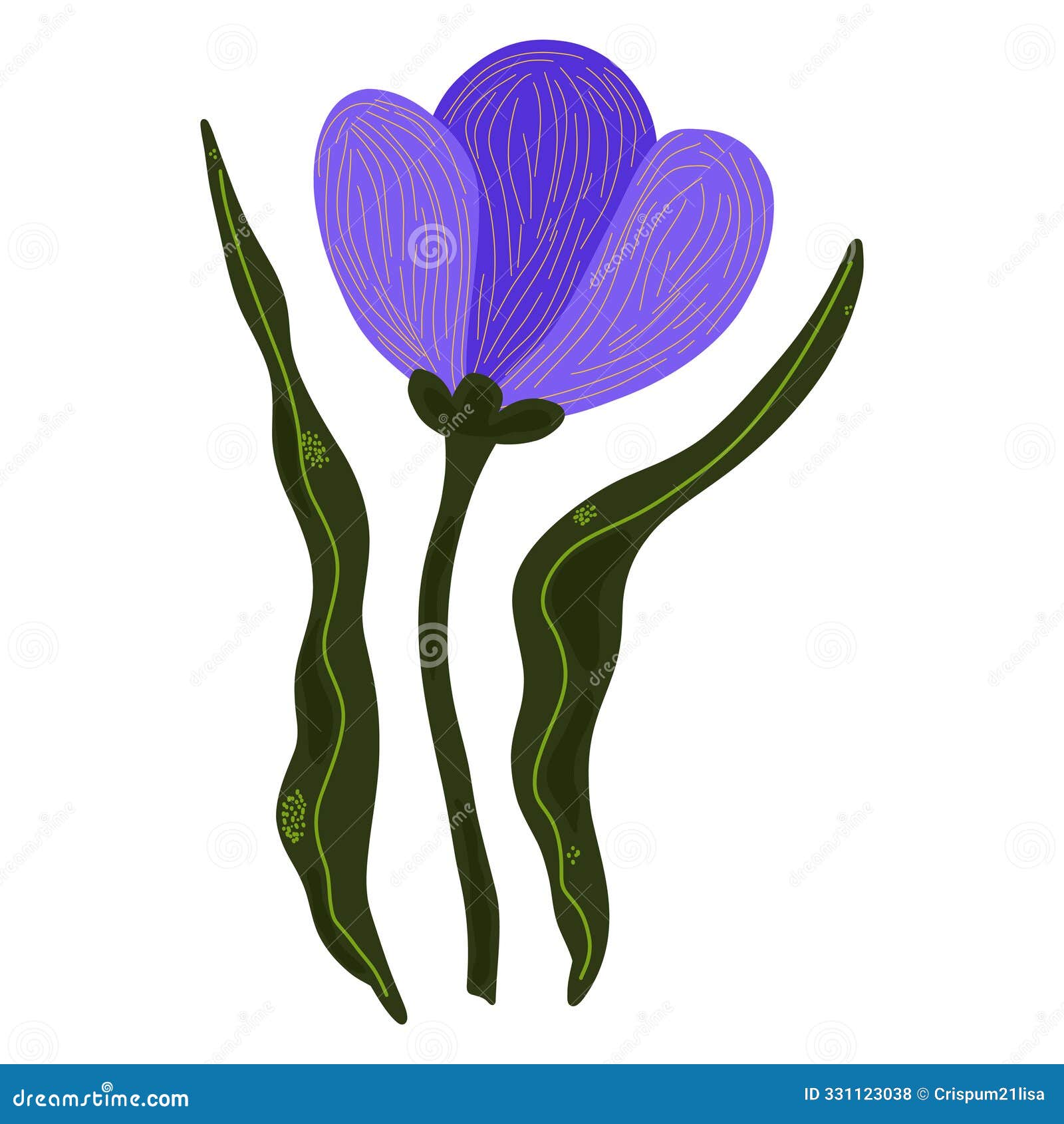 Crocus flat cartoon style stock illustration. Illustration of garden ...