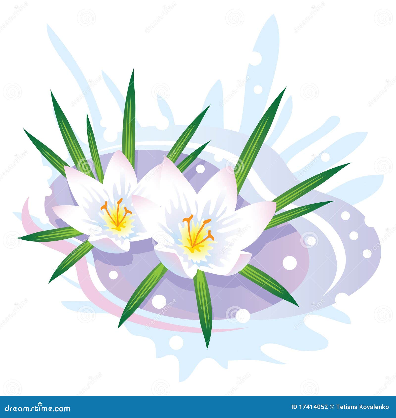Crocus Flower. the First Spring Flowers and Snow Stock Vector ...