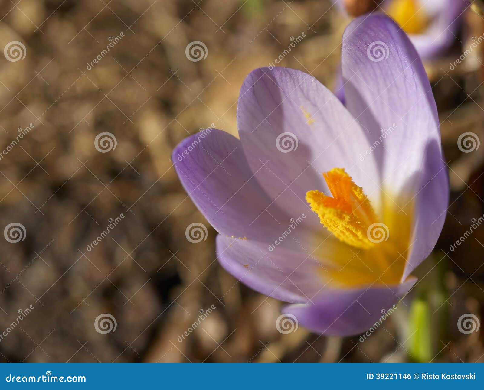 Royalty Free Images, Cartoons, Illustrations And Photos Designed By ...