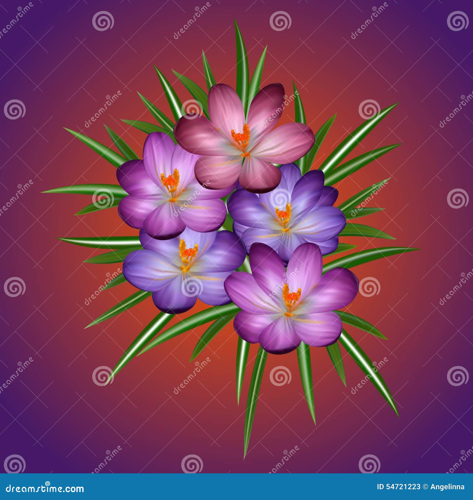 Crocus flowers stock vector. Illustration of botanical - 54721223
