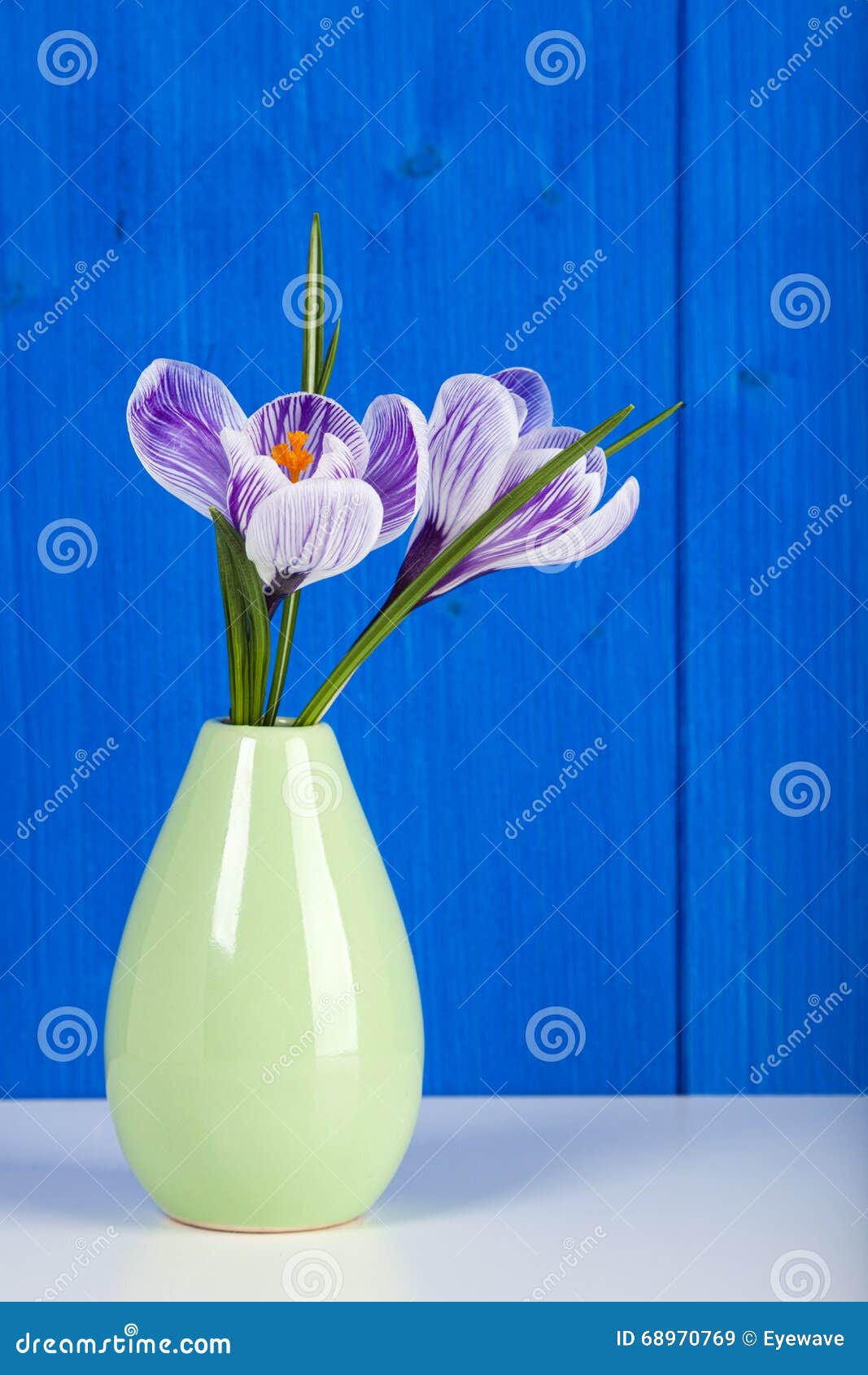 Crocus flowers in a vase stock image. Image of flower - 68970769