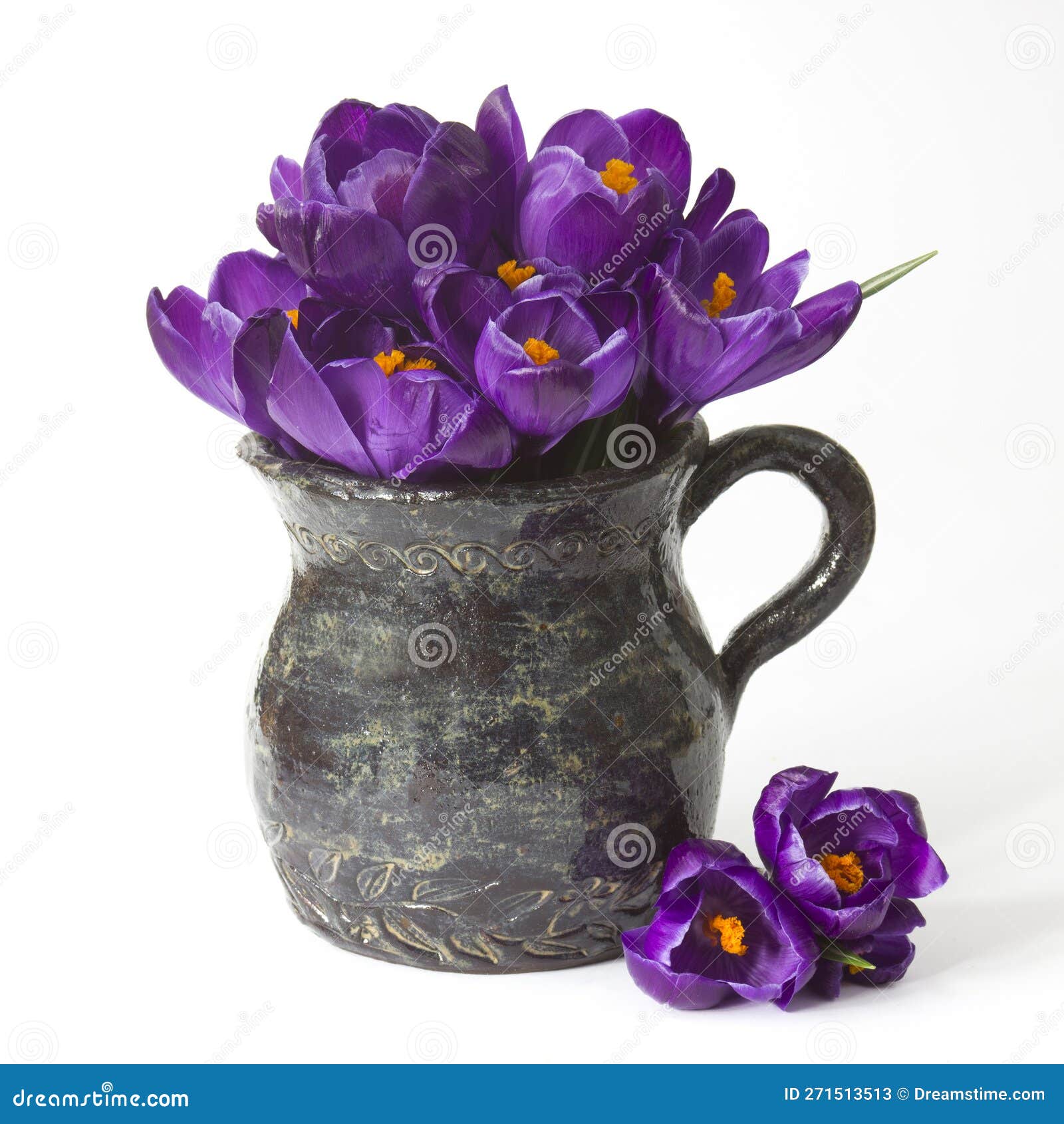 Crocus Flowers in a Vase on White Background Stock Image - Image of ...