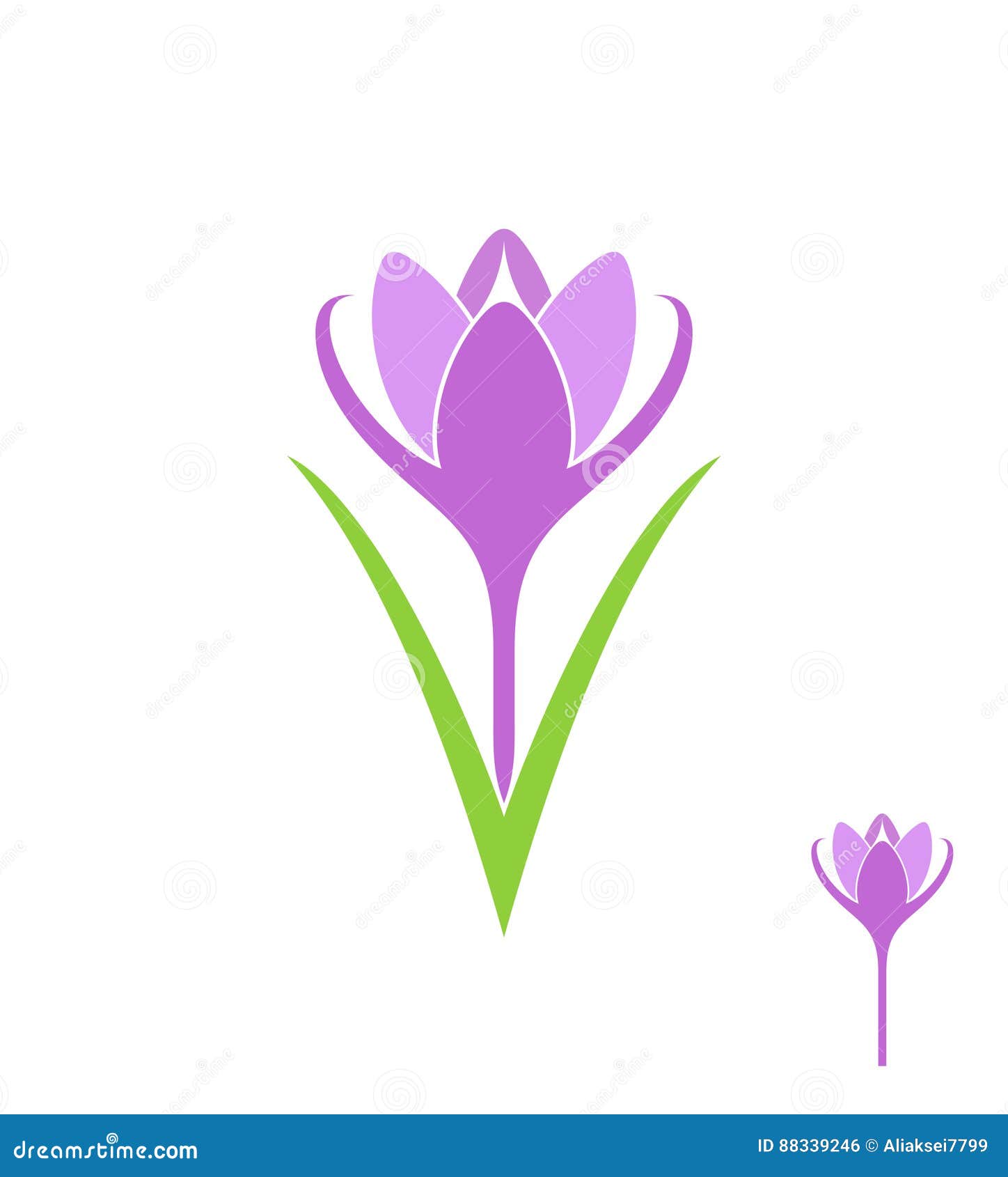 Crocus stock vector. Illustration of plant, sign, flower - 88339246