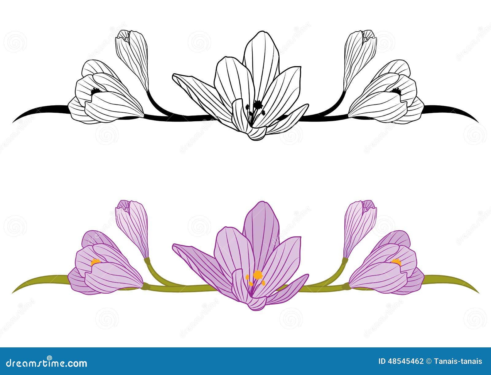 Crocus set stock vector. Illustration of design, grunge - 48545462