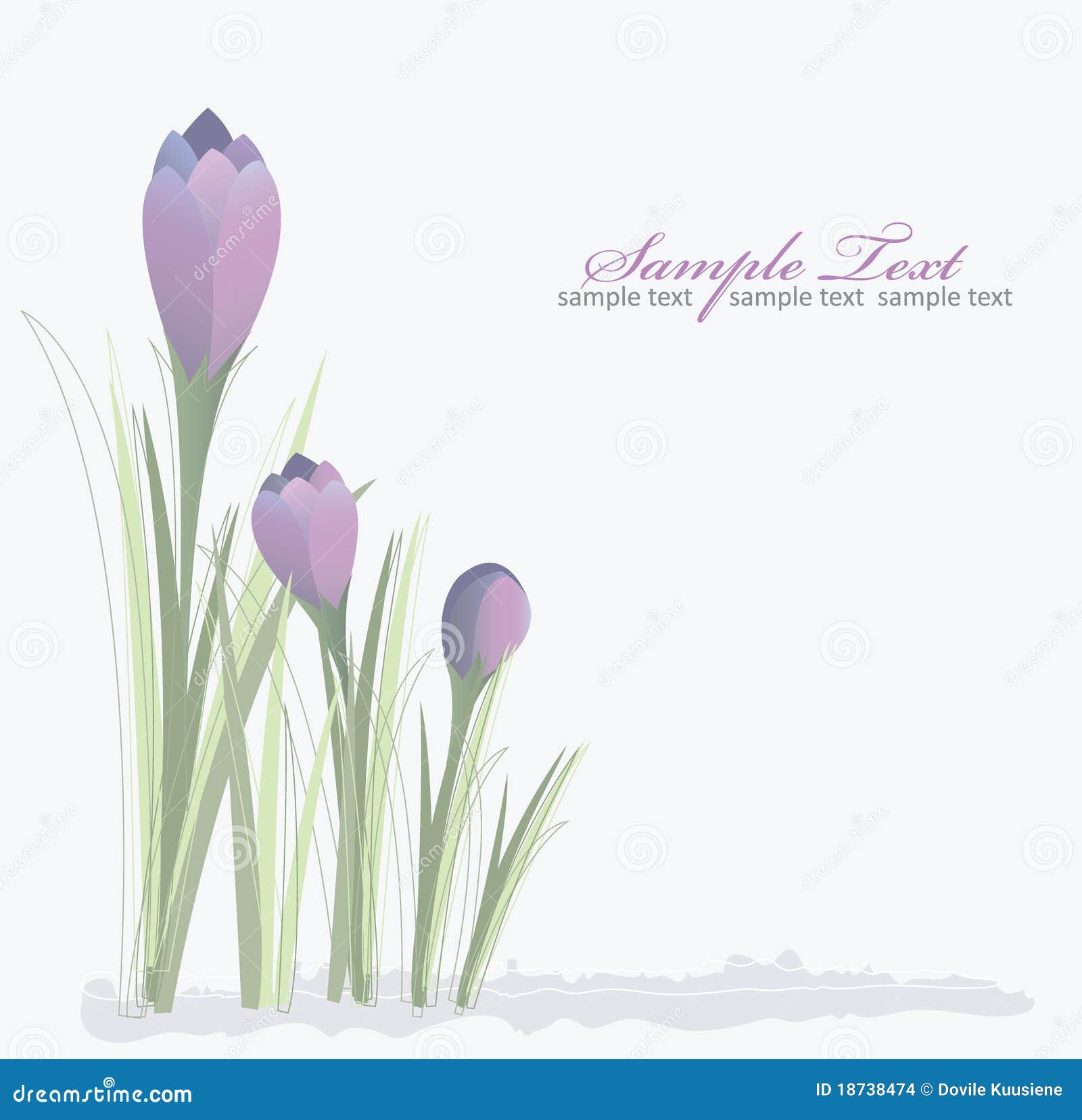Crocus Background Stock Illustrations – 7,170 Crocus Background Stock ...