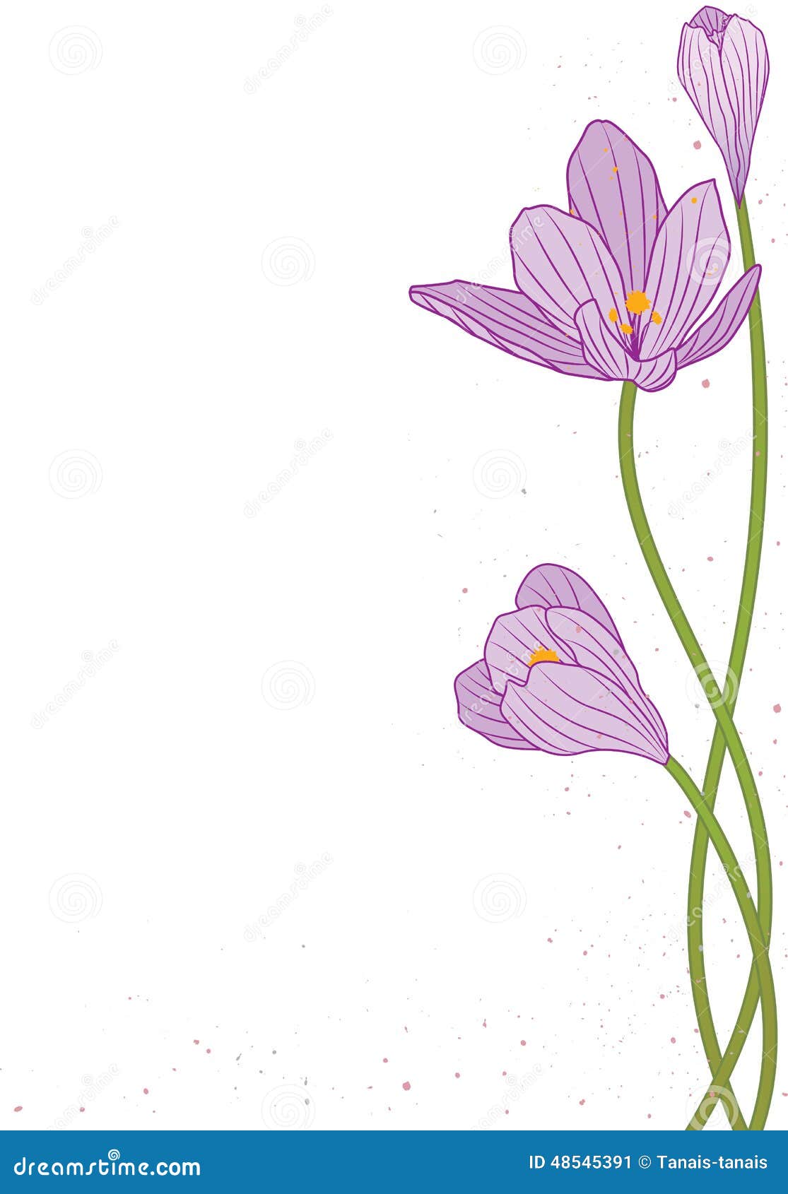Crocus stock vector. Illustration of retro, floral, pastel - 48545391