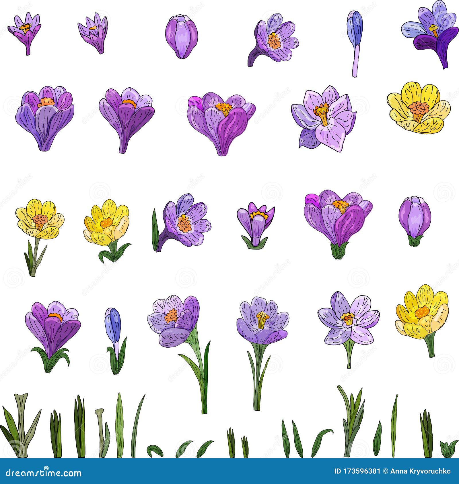 Set Spring Flowers, Crocus Yellow and Purple, Leaves To Create a Decor ...