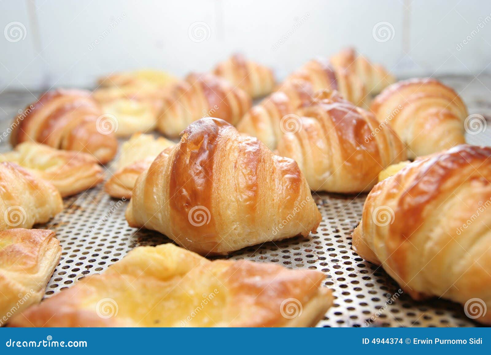 Croissants, Fresh from Oven Stock Photo - Image of close, pastry: 4944374