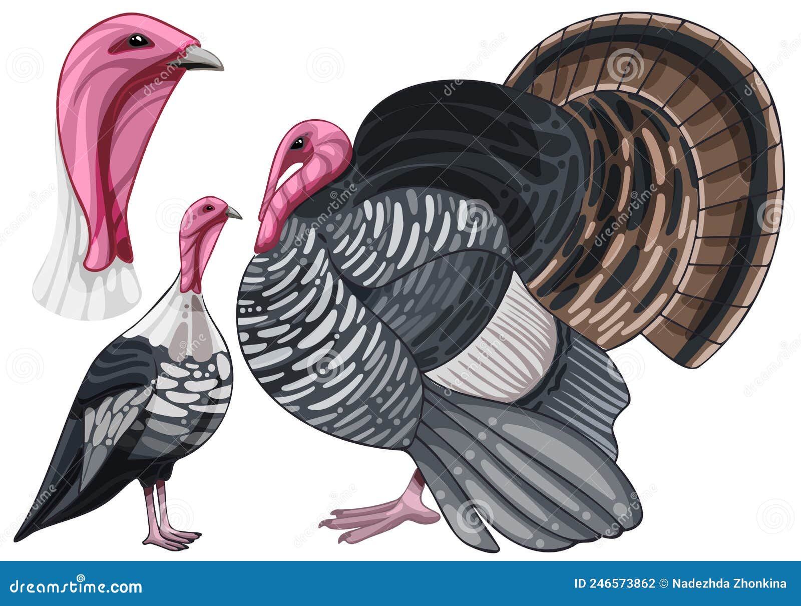 Witzer Stock Illustrations – 4 Witzer Stock Illustrations, Vectors ...