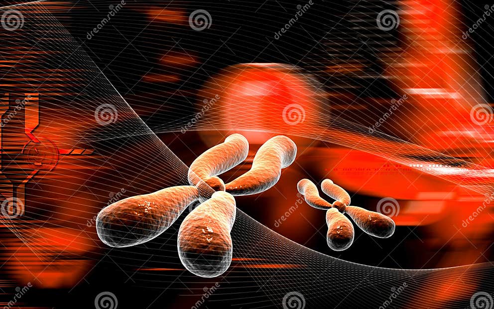 Cromosoma stock de ilustración. Ilustración de extracto - 27260762