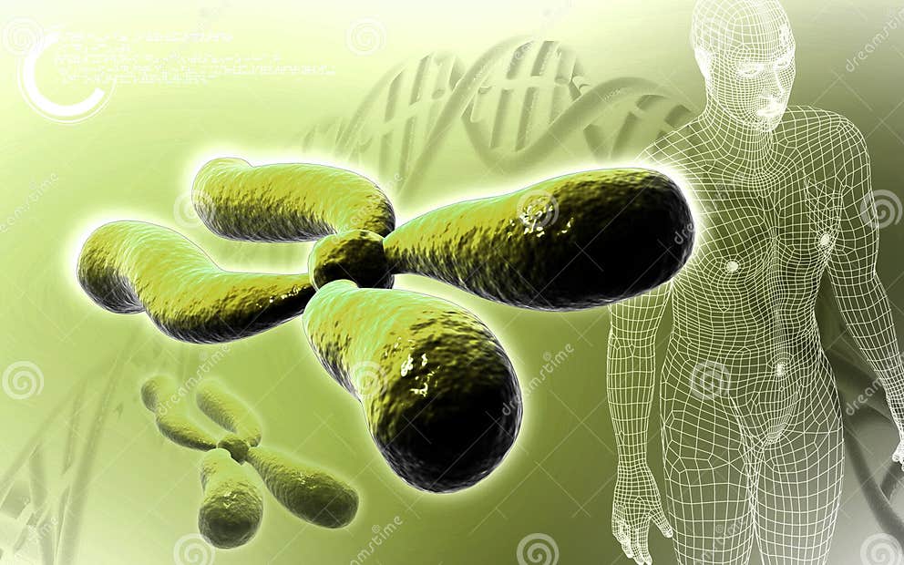 Cromosoma stock de ilustración. Ilustración de fondo - 32220848