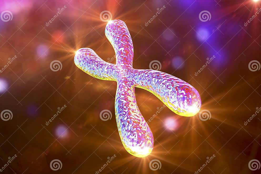 Cromosoma stock de ilustración. Ilustración de genoma - 68431320